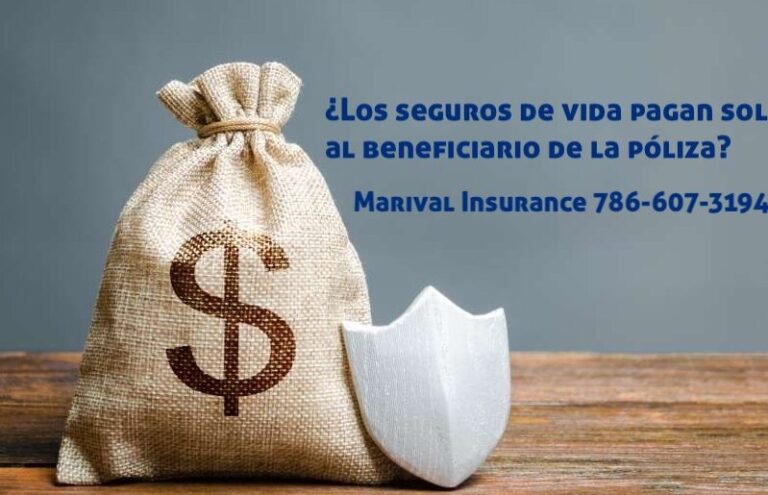 Reaseguro en Seguros: Concepto y Función