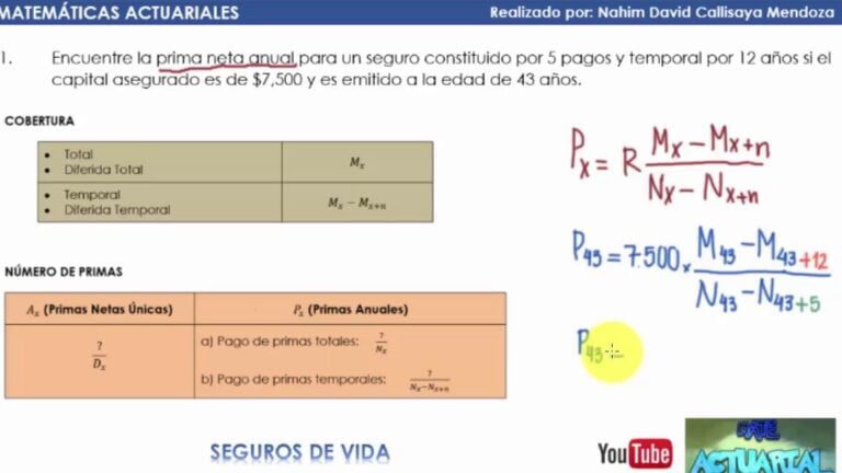 El Significado de Prima Neta en Seguros: Descubre su Importancia