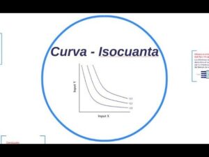 Curva Isocuanta - Qué Es, Definición Y Concepto