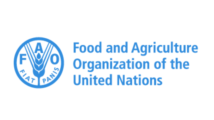 FAO - Qué Es, Definición Y Concepto