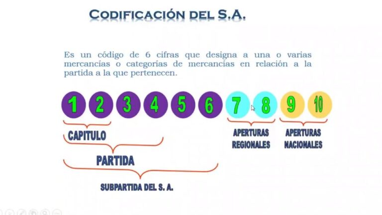 Partida Arancelaria - Qué Es, Definición Y Concepto