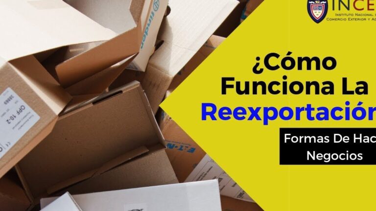 Reexportación - Qué Es, Definición Y Concepto