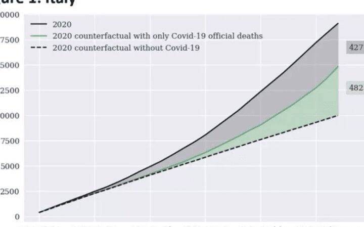 Tasa De Mortalidad - Qué Es, Definición Y Concepto