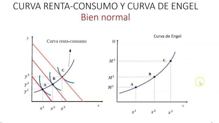 Curva De Engel - Qué Es, Definición Y Concepto
