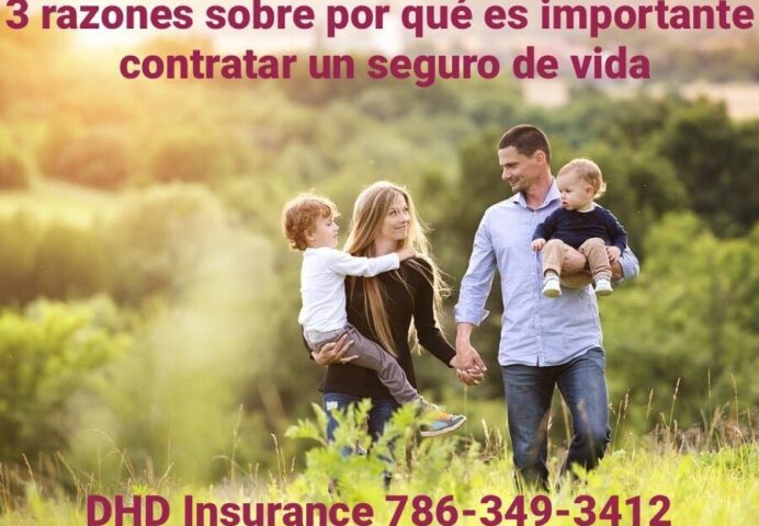 Reaseguro en Seguros: Concepto y Función